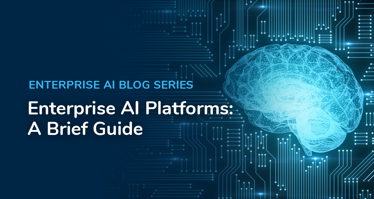 Enterprise AI Blog Series | Enterprise AI Platforms: A Brief Guide